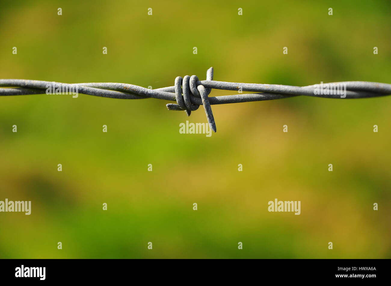 Barbed Wire Fence Stock Photo - Alamy