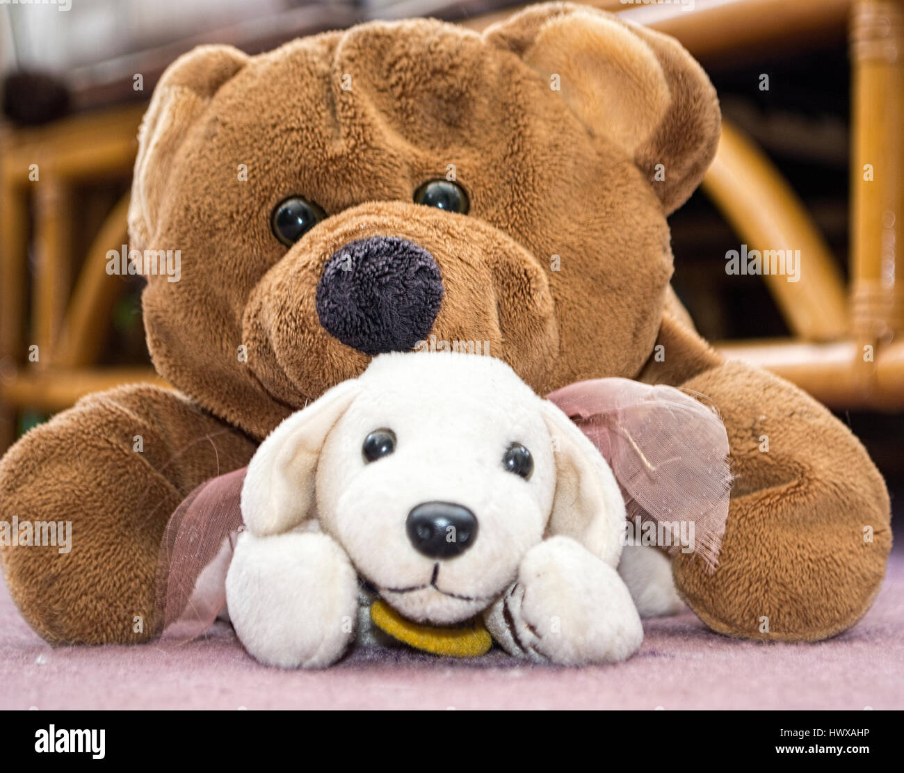 Colourful teddy bear hi-res stock photography and images - Alamy