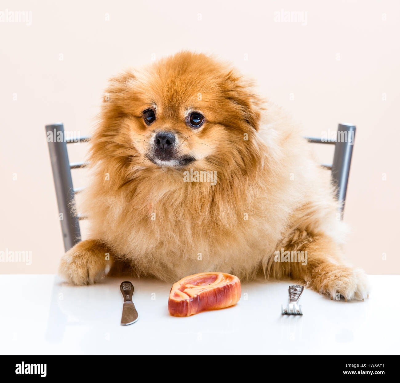 Licking the knife hi-res stock photography and images - Alamy
