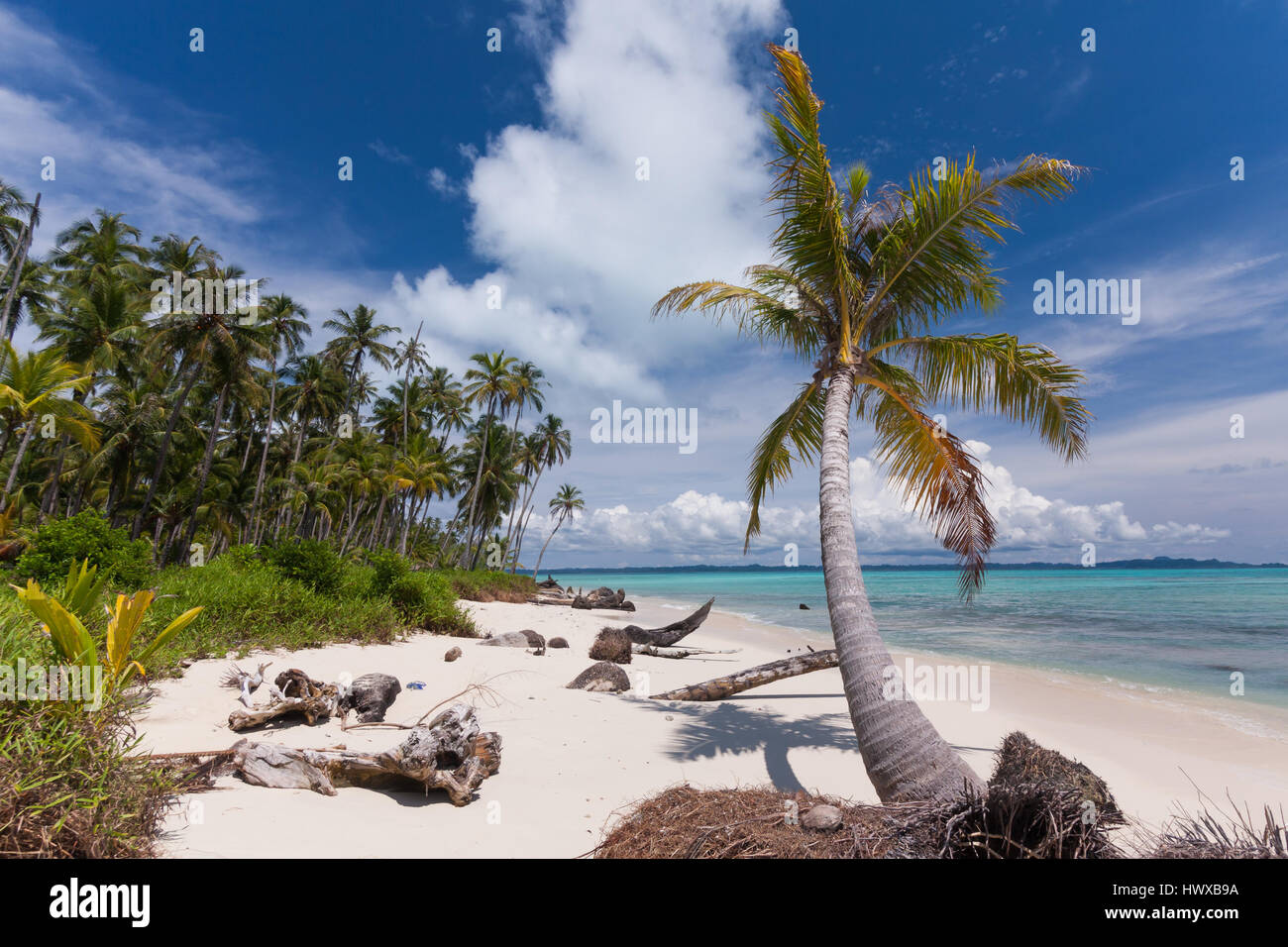 Paradise beach landscape Stock Photo - Alamy