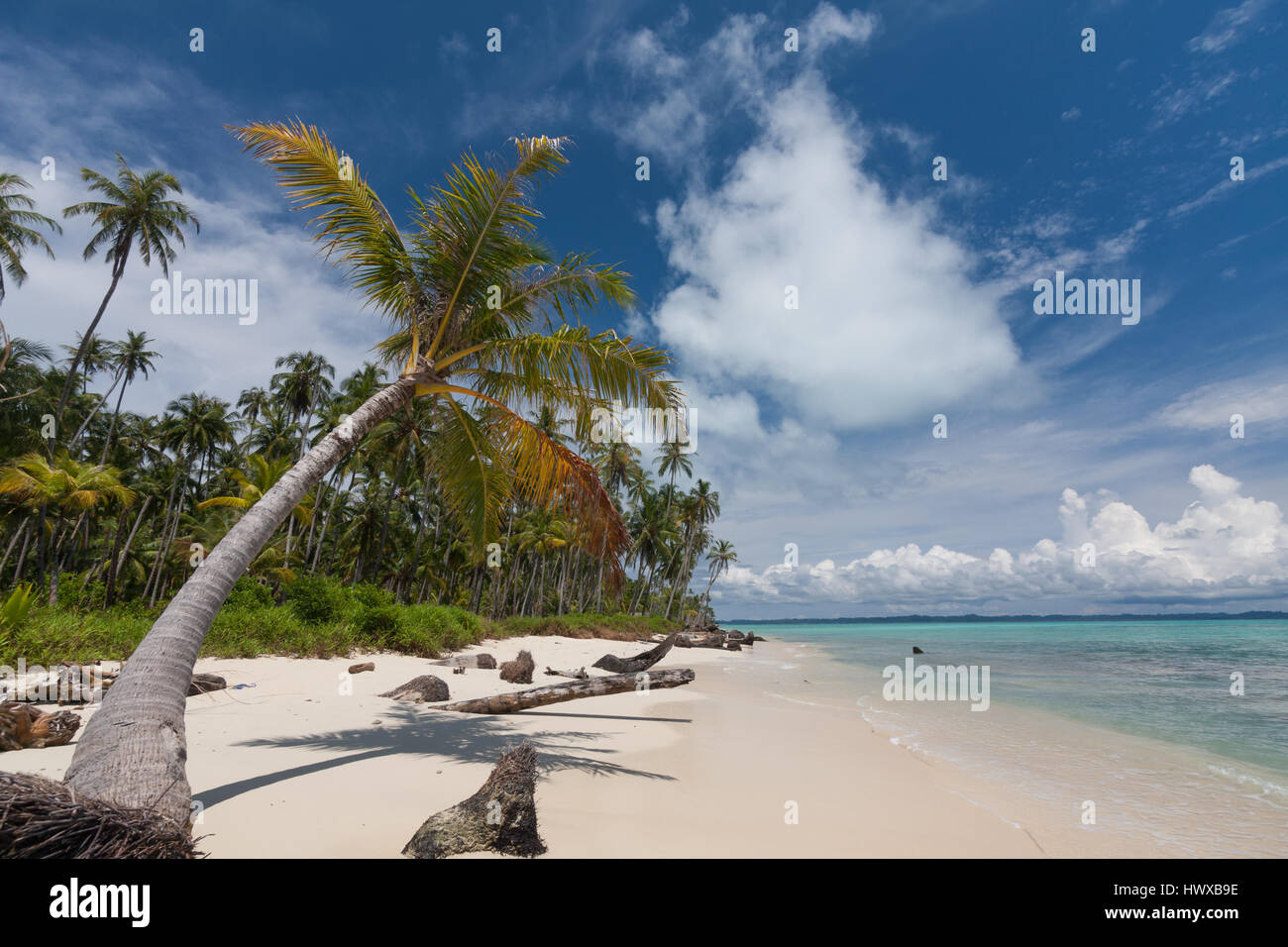 Paradise beach landscape Stock Photo - Alamy