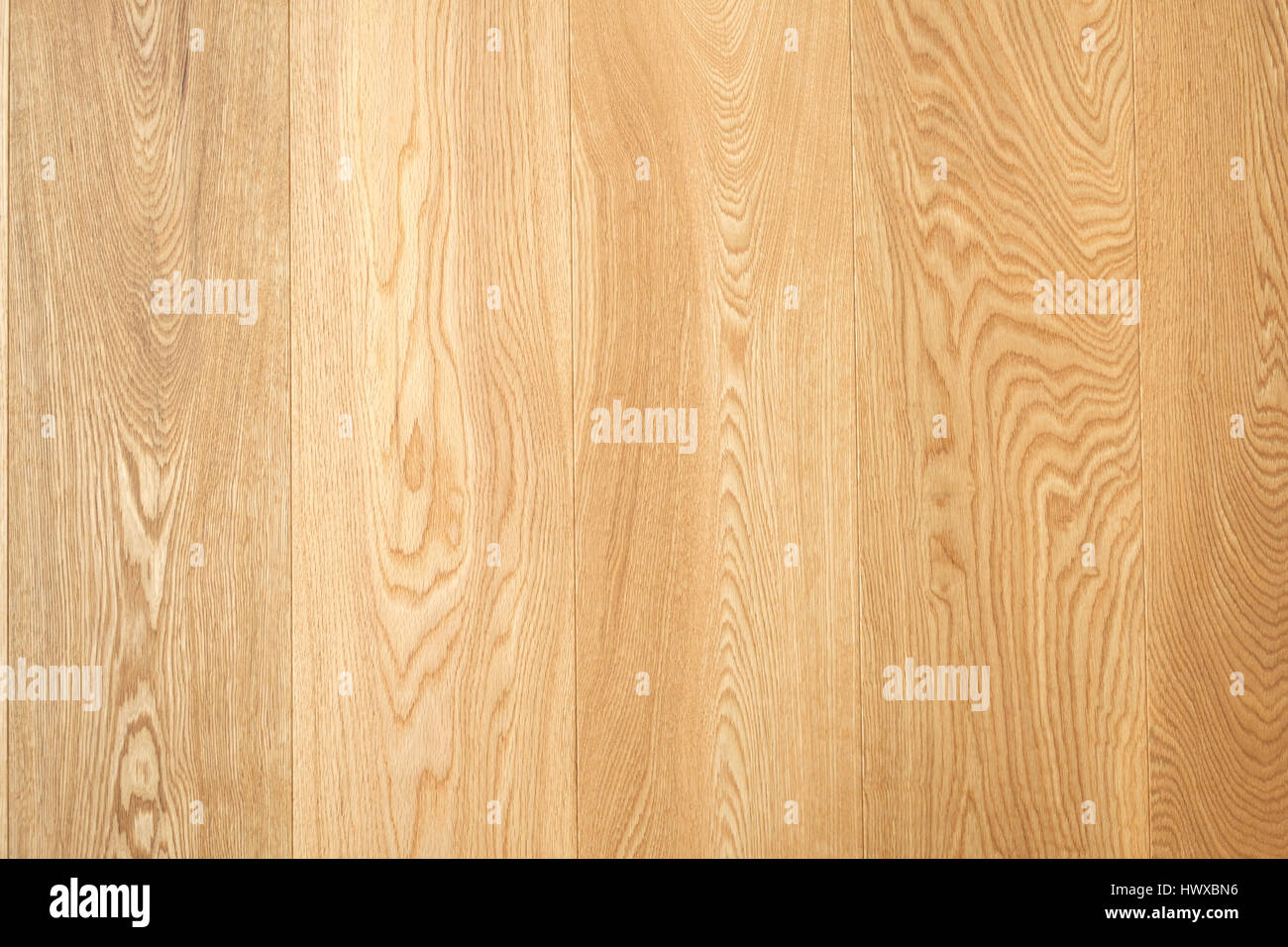 parquet floor, oak wood floor closeup Stock Photo - Alamy