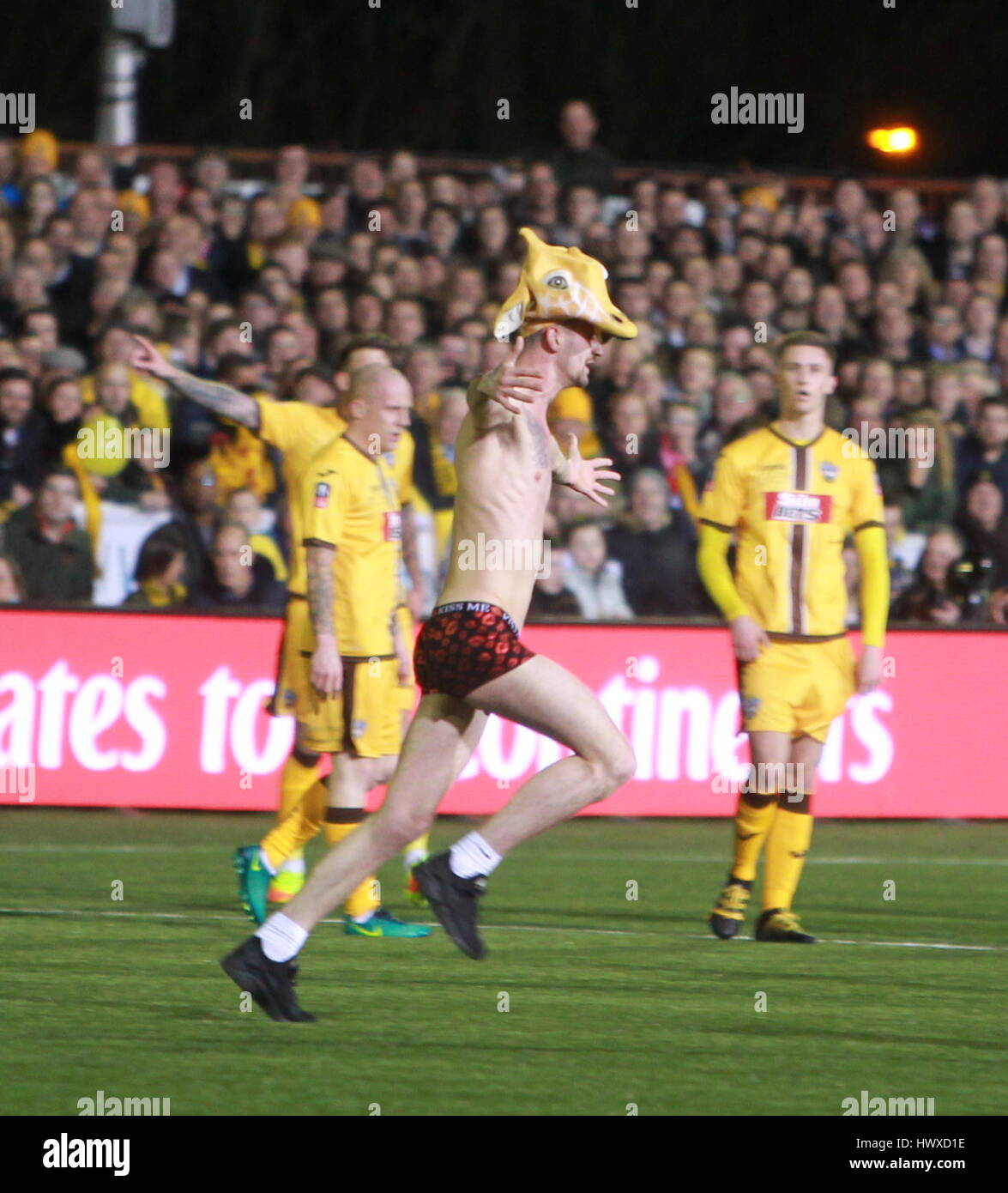 Sutton United v Arsenal - FA Cup match at Borough Sports Ground ...