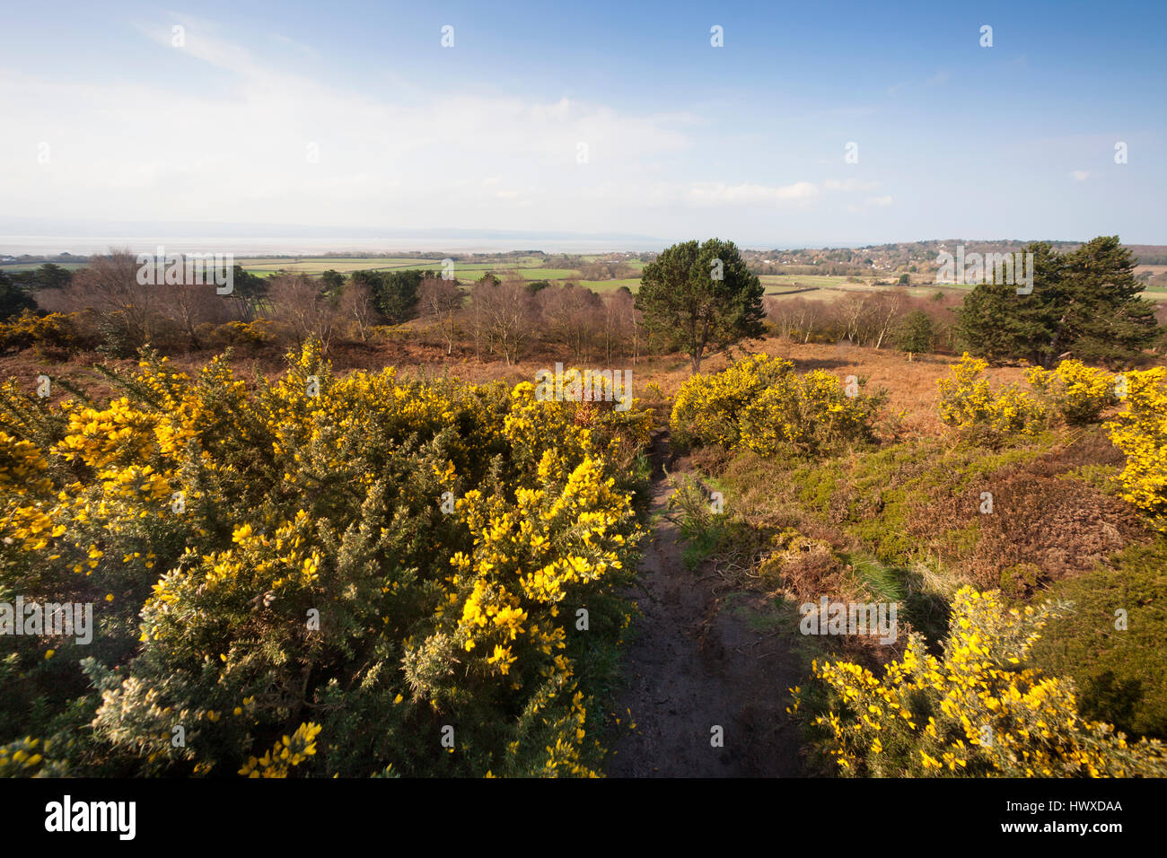 The top of Thurstaston country park, Wirral, NW, UK Stock Photo - Alamy