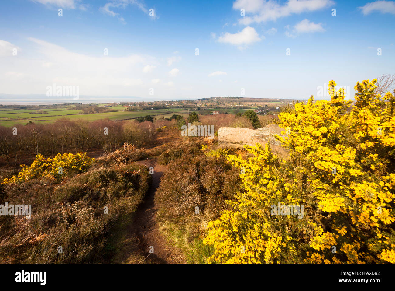 The top of Thurstaston country park, Wirral, NW, UK Stock Photo - Alamy