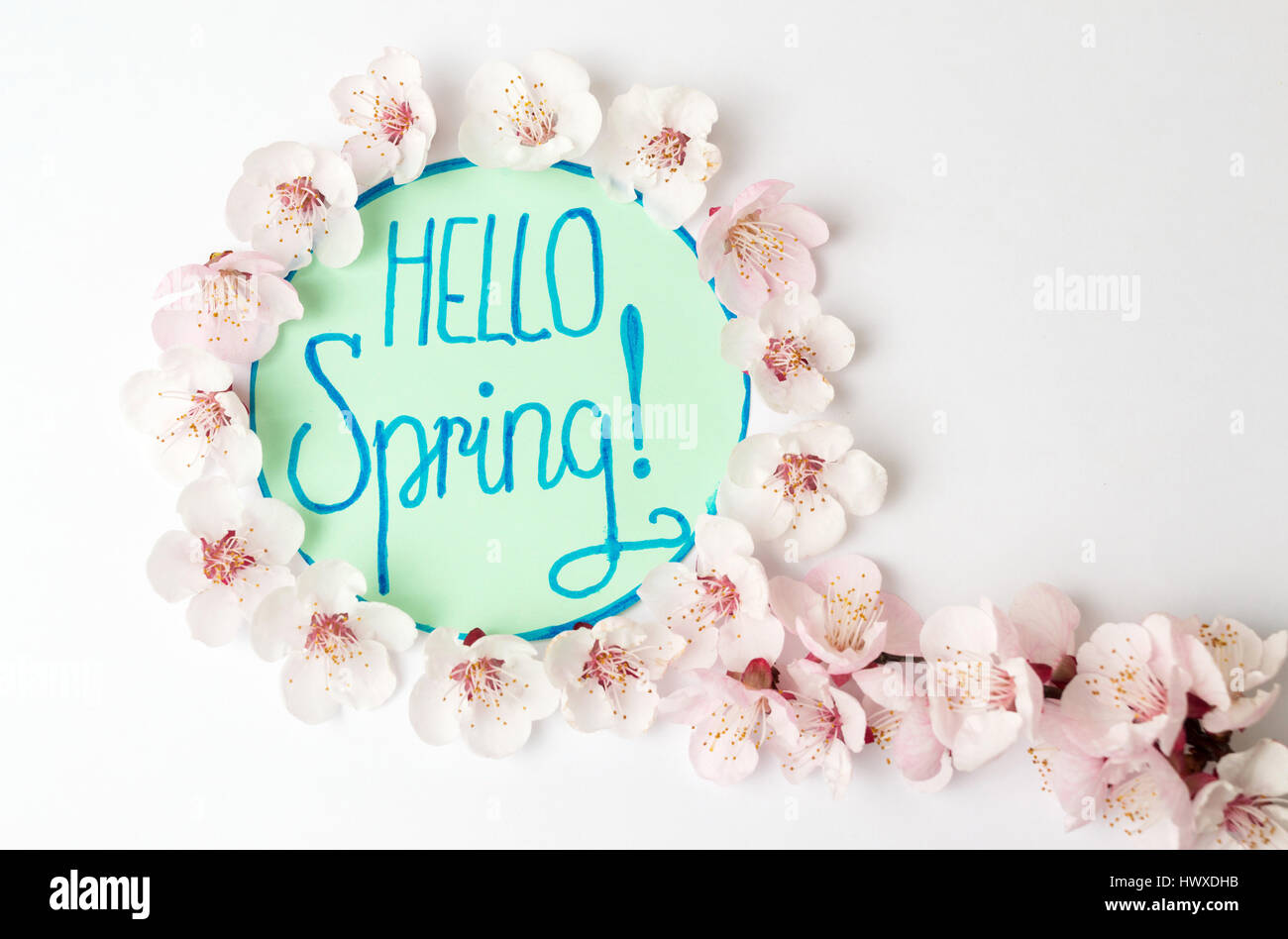 Hello spring calligraphy note with cherry blossom flowers Stock Photo ...