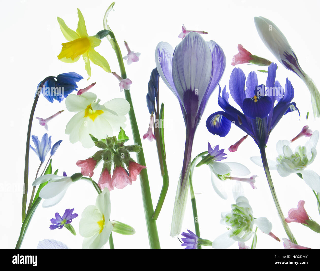 Key spring hi-res stock photography and images - Alamy