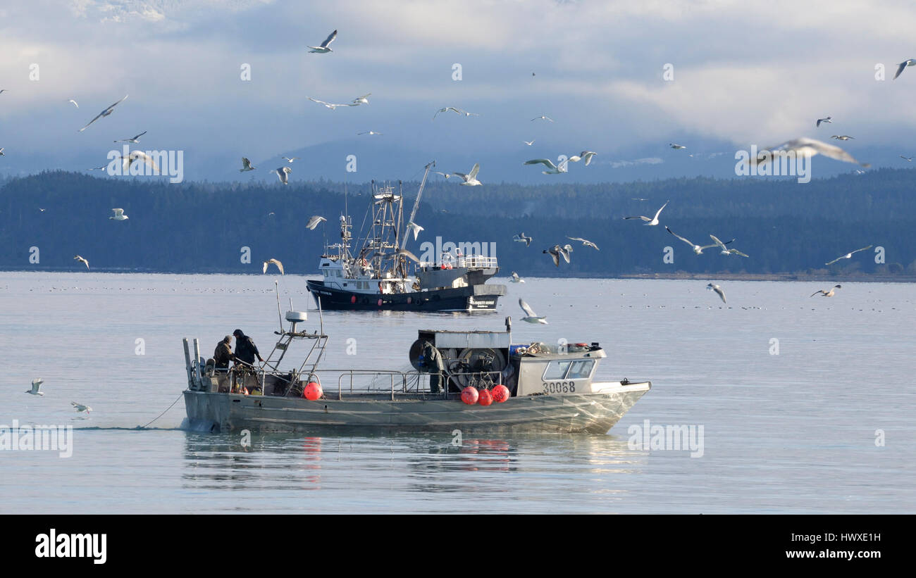 Fishing trawler canada hi-res stock photography and images - Alamy