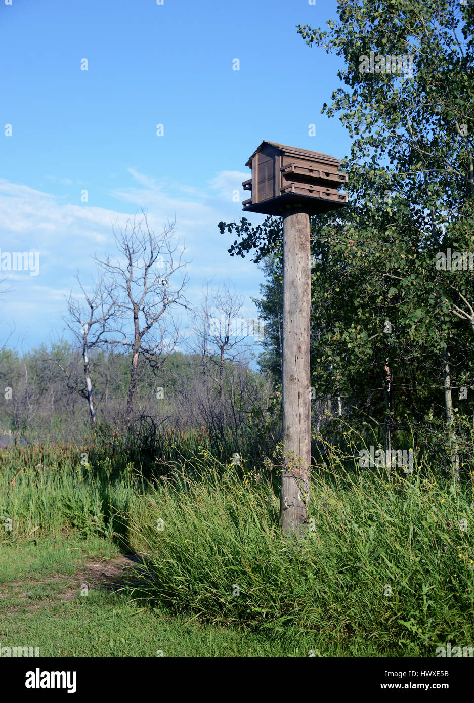Birdwatching house hi-res stock photography and images - Alamy