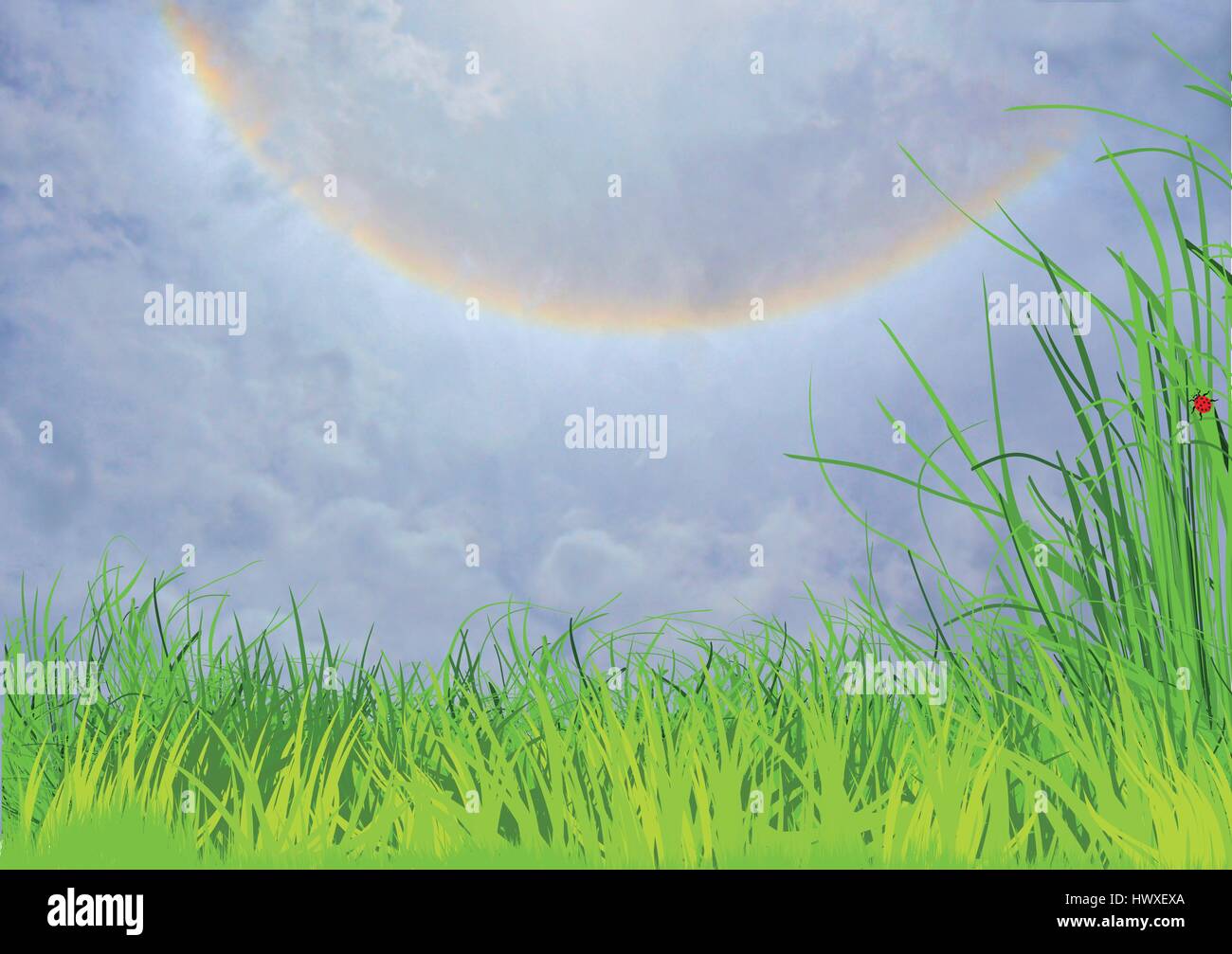 Blue sky and green leaves Stock Vector Images - Alamy