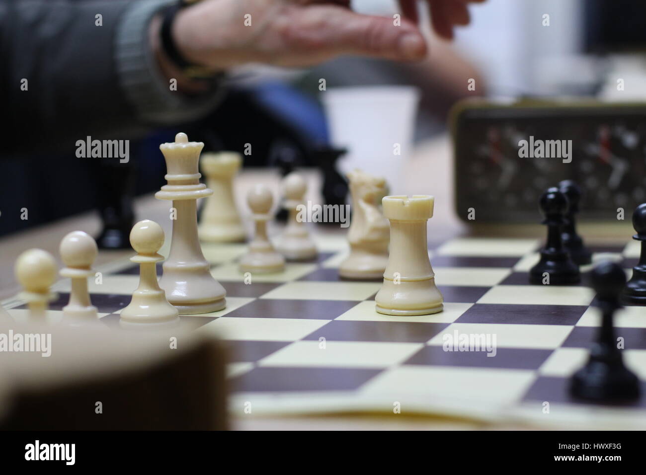 Friendly games at a local chess club Stock Photo - Alamy