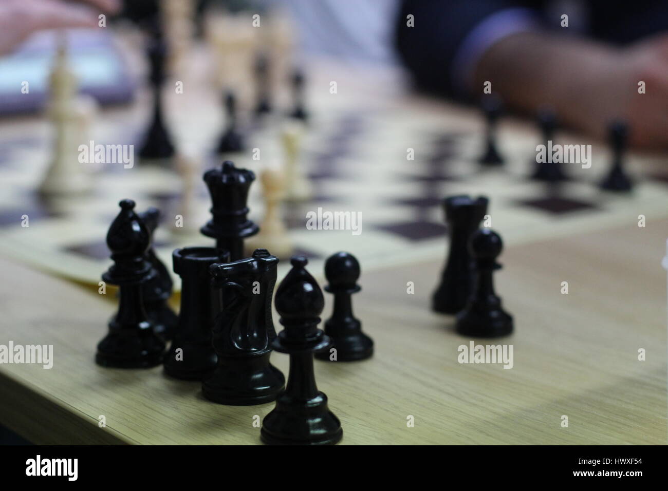 Friendly games at a local chess club Stock Photo - Alamy