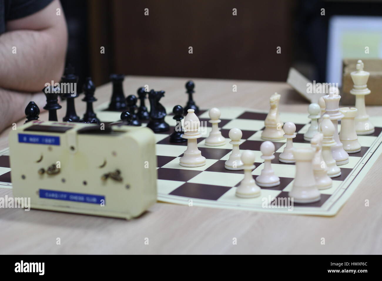 Friendly games at a local chess club Stock Photo - Alamy