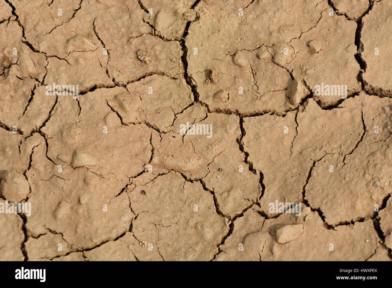 During drought, cracked ground, dry soil texture for background Stock ...