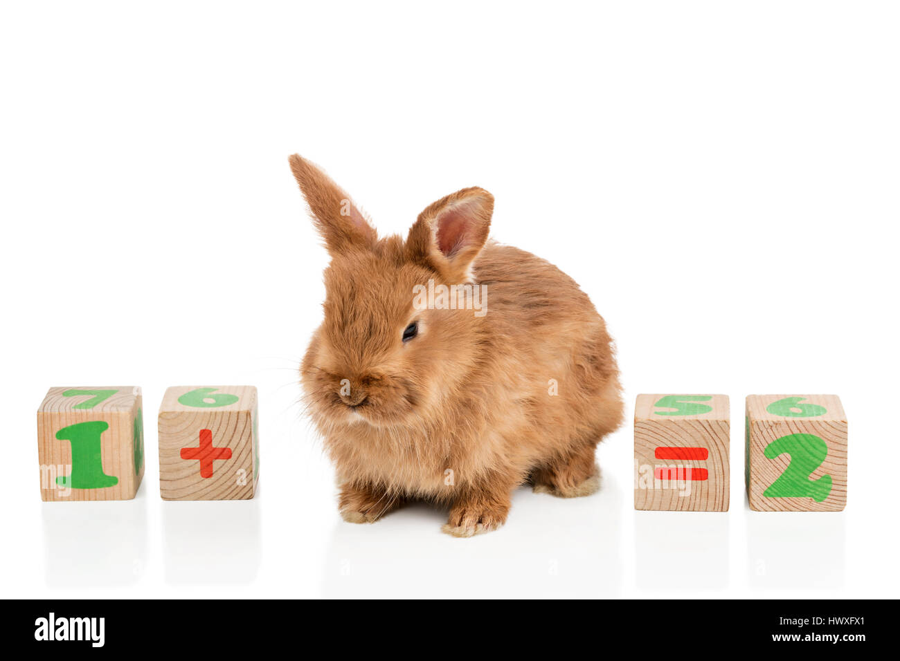 Math model hi-res stock photography and images - Alamy