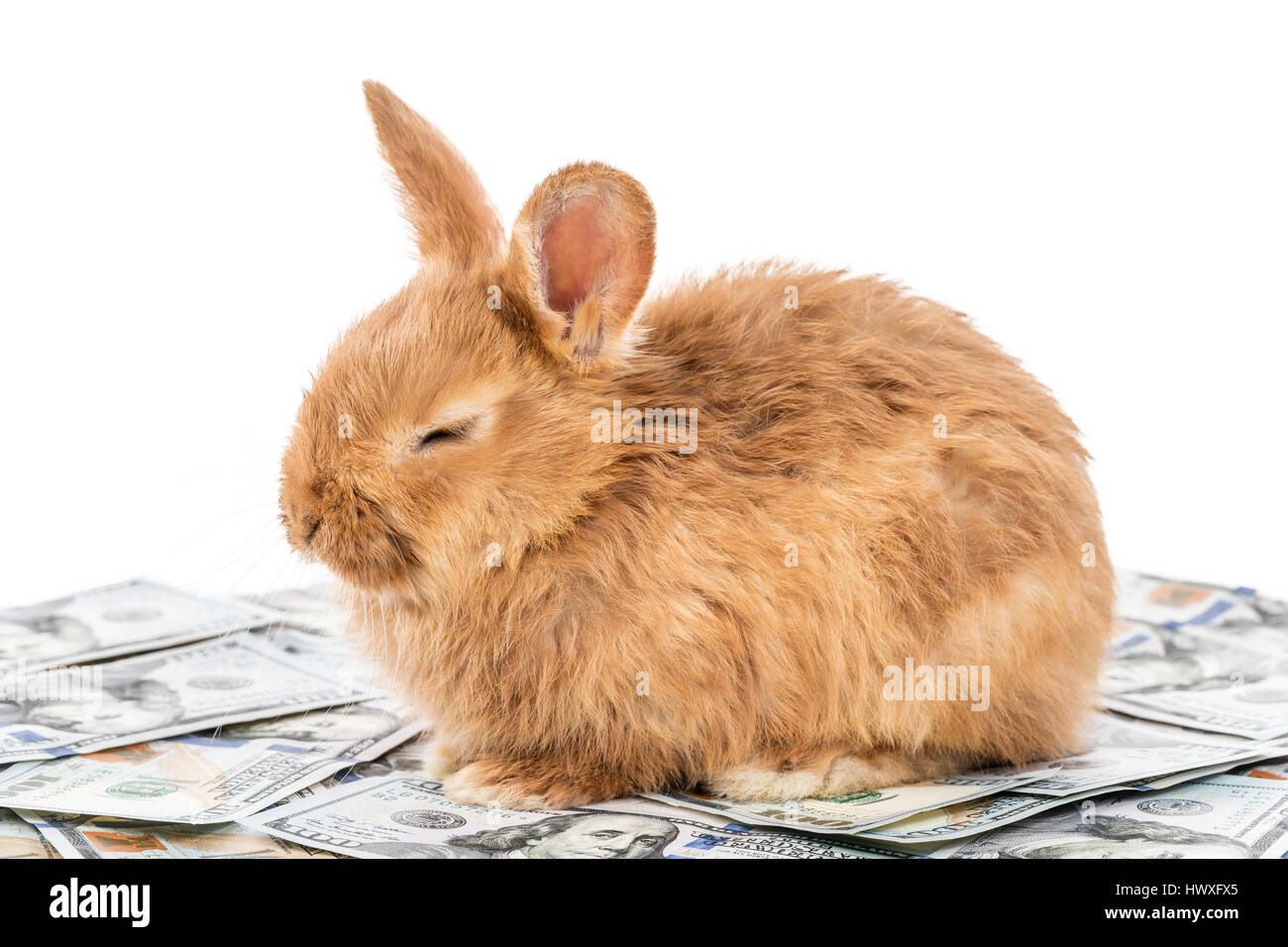 Money lying on the floor hi-res stock photography and images - Alamy