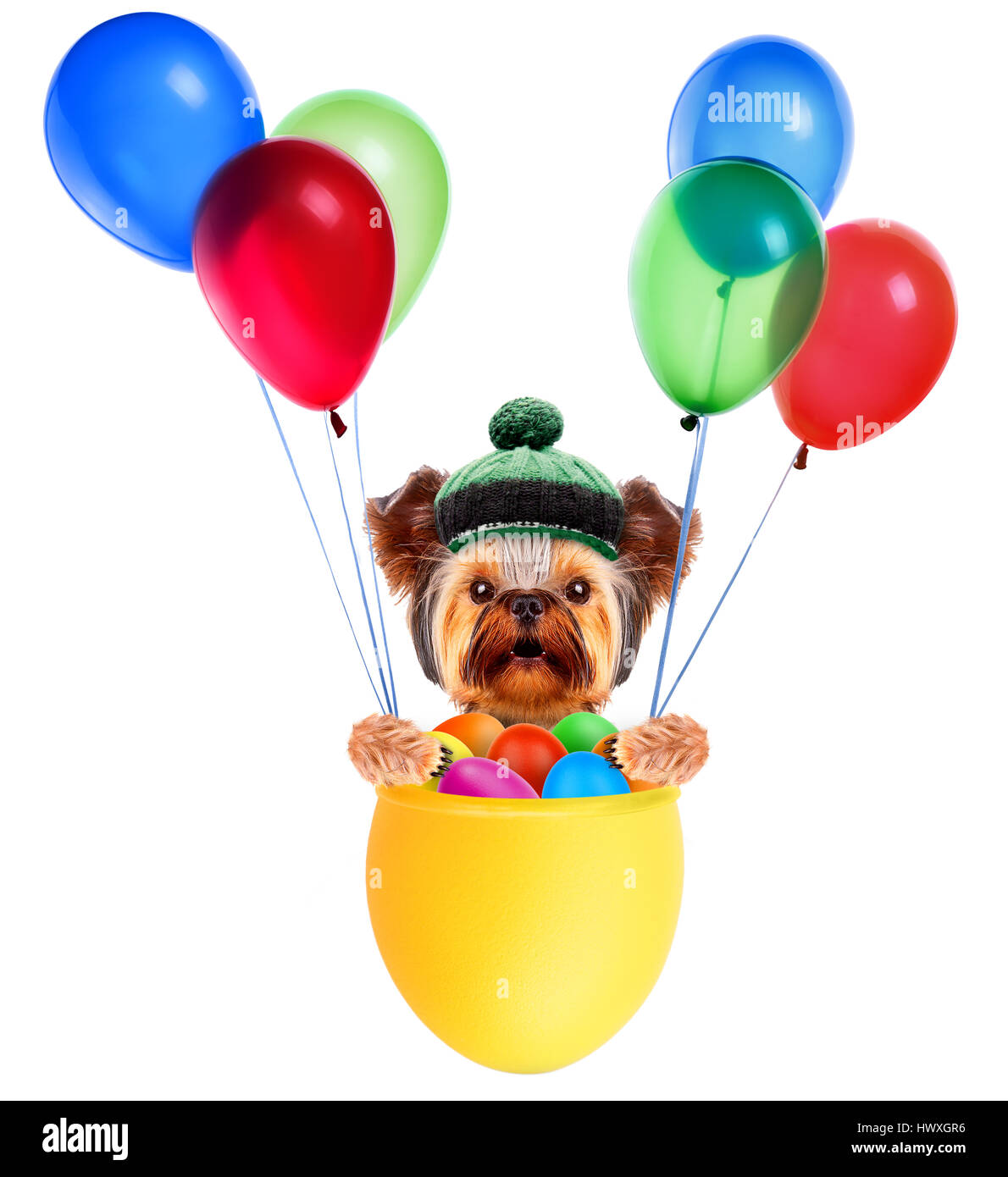 Funny dogs in easter hi-res stock photography and images - Alamy