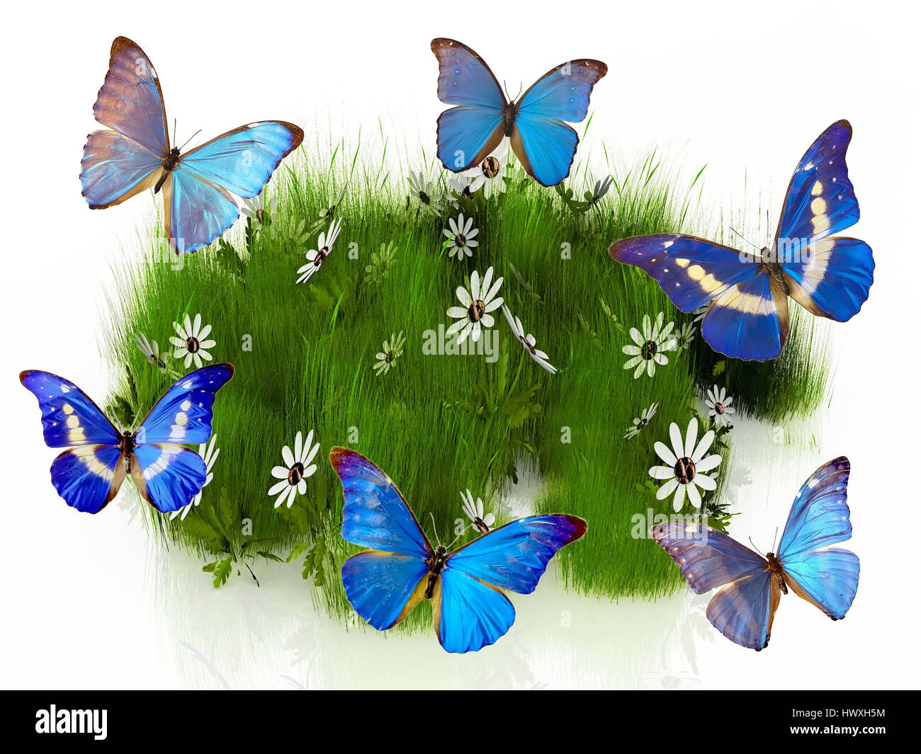 the beautiful butterfly with wings Stock Photo - Alamy