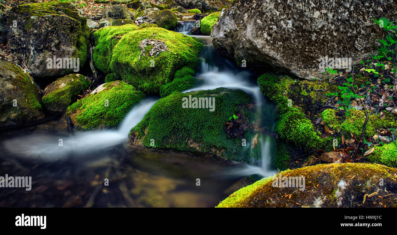 Cascade mountain spring water hi-res stock photography and images - Alamy