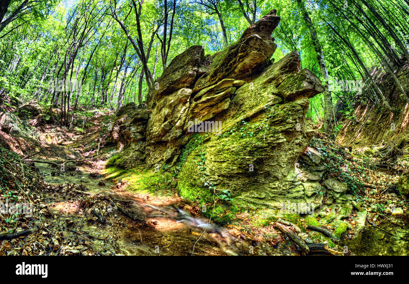 Beautiful mountain rock on a fast stream. Spring bright background ...