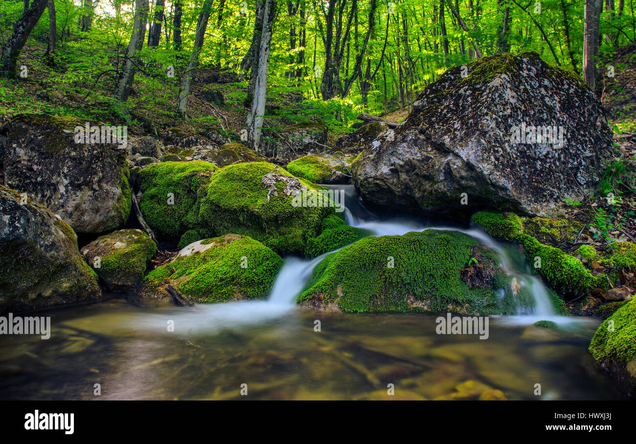 Cascade mountain spring water hi-res stock photography and images - Alamy