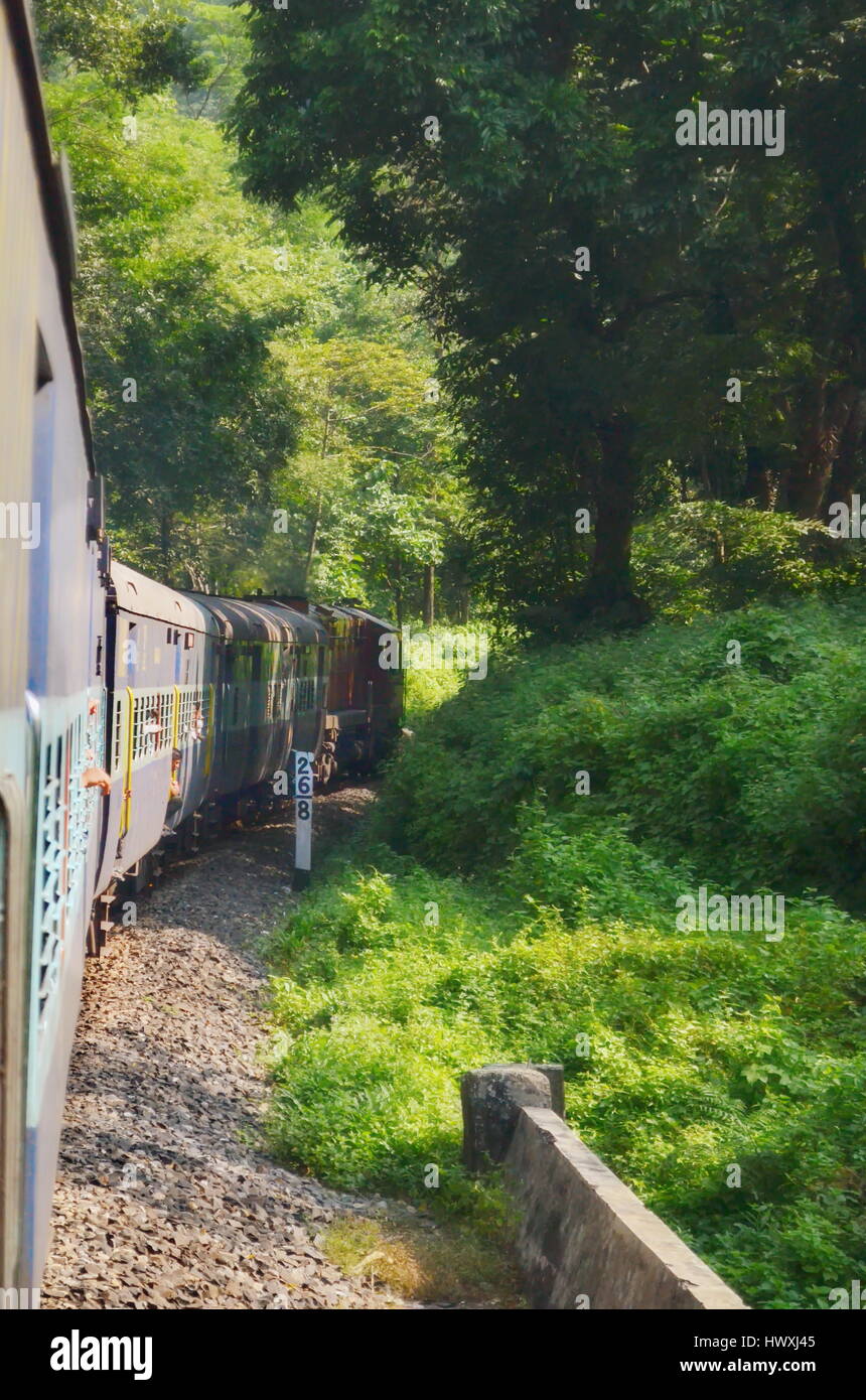 Wagons in forest hi-res stock photography and images - Alamy