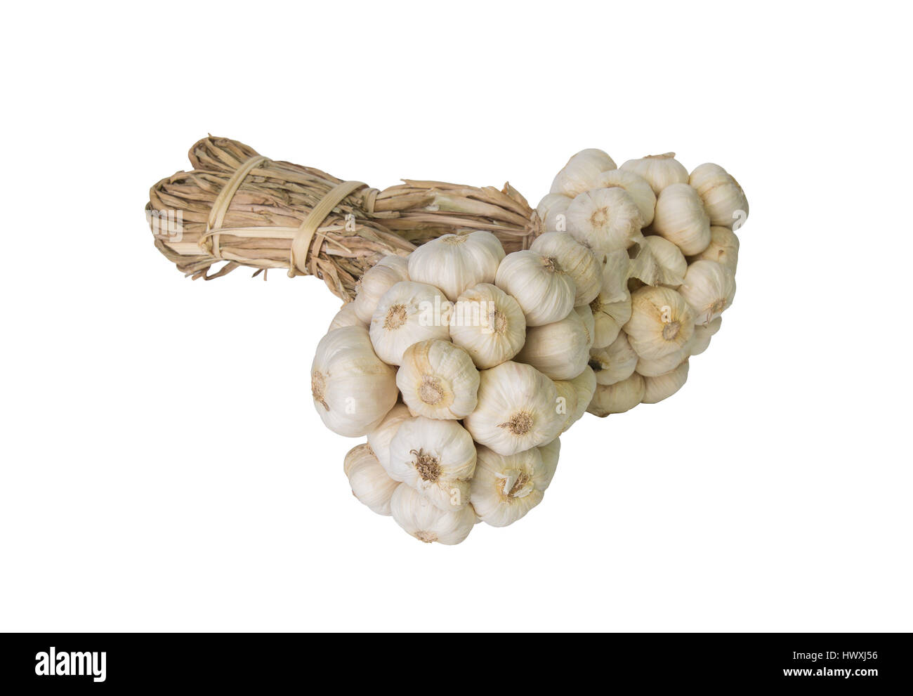 String of garlic bulbs isolated on white background Stock Photo - Alamy