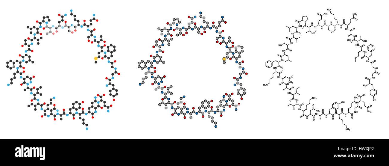 Beta-endorphin endogenous opioid peptide molecule. Conventional ...