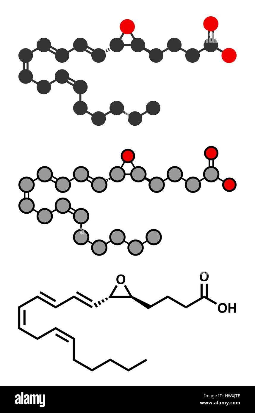 leukotriene A4 (LTA4) molecule. Conventional skeletal formula and ...