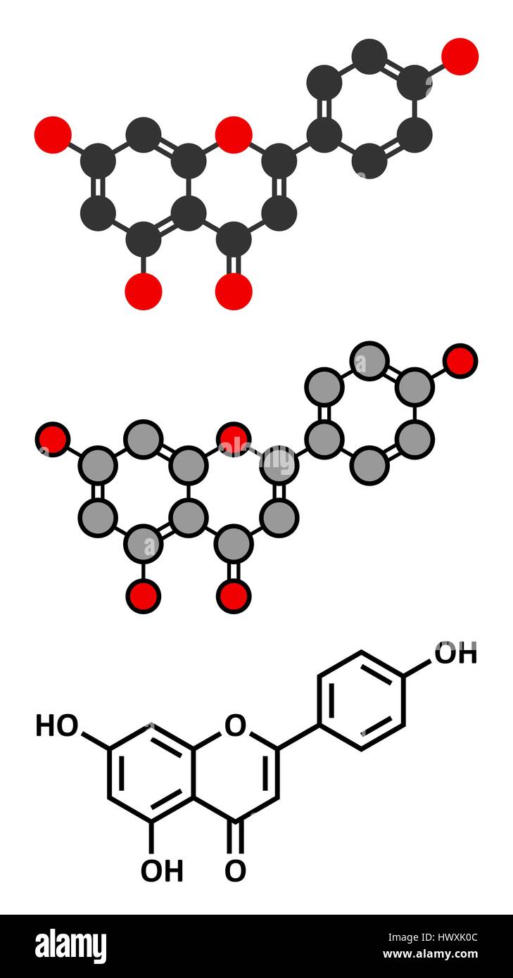 Apigenin yellow herbal dye molecule. Stylized 2D renderings and ...