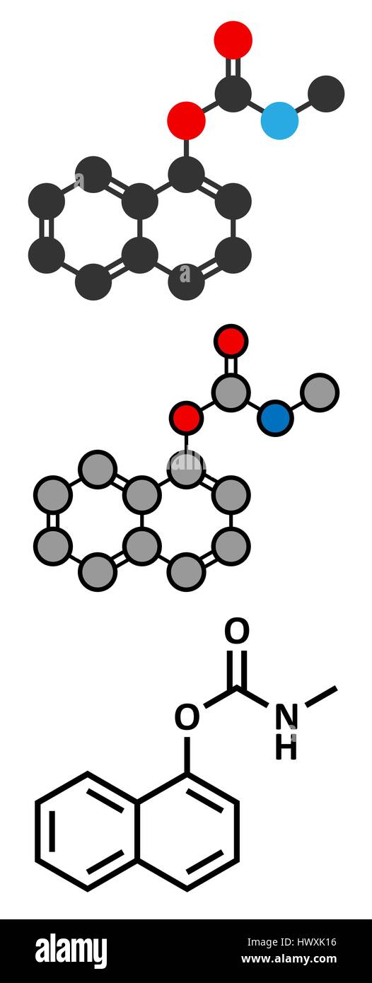 Carbaryl (carbaril) insecticide molecule (carbamate class). Stylized 2D ...