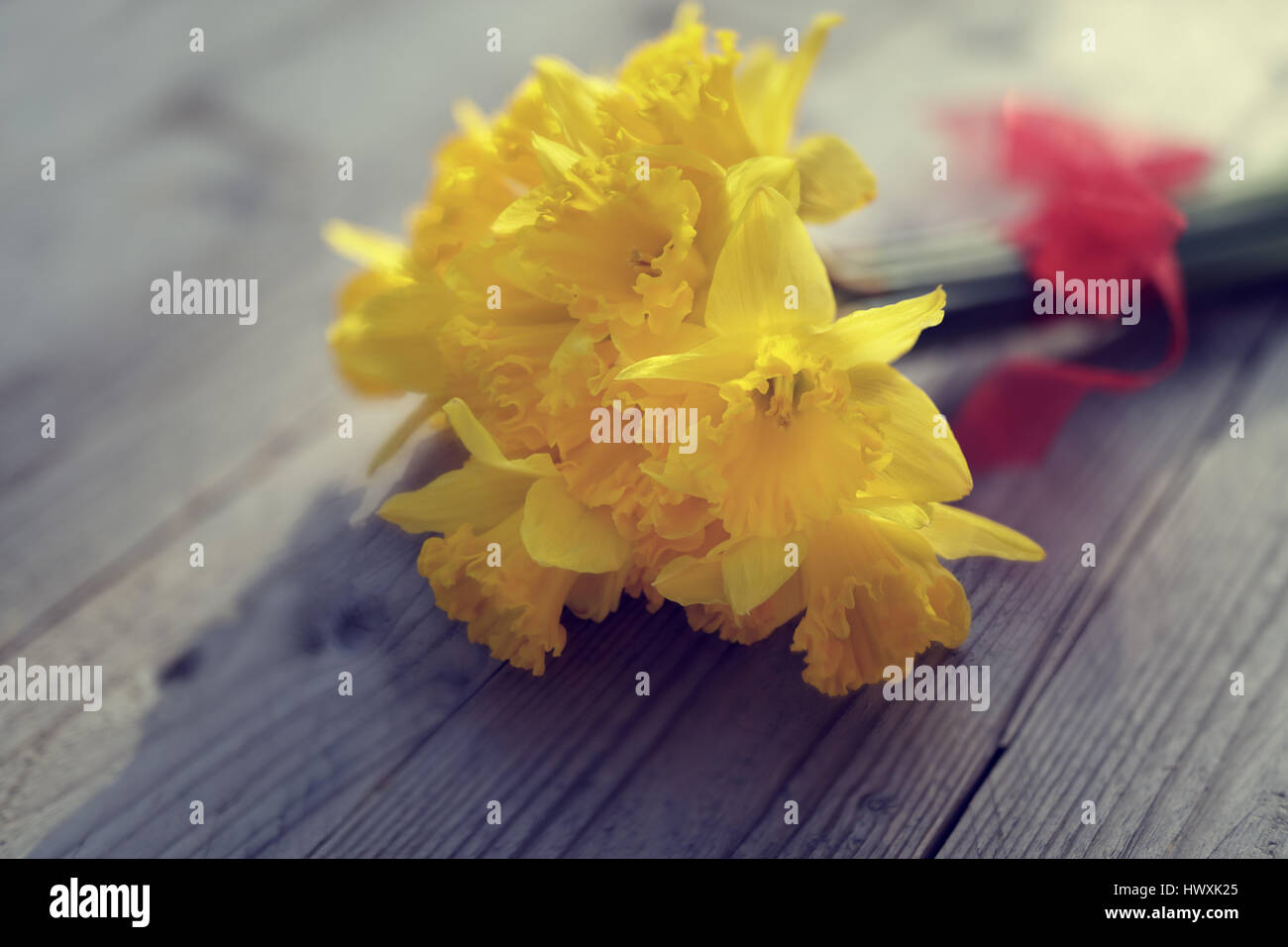 Daffodils fresh cut on wooden table Stock Photo - Alamy