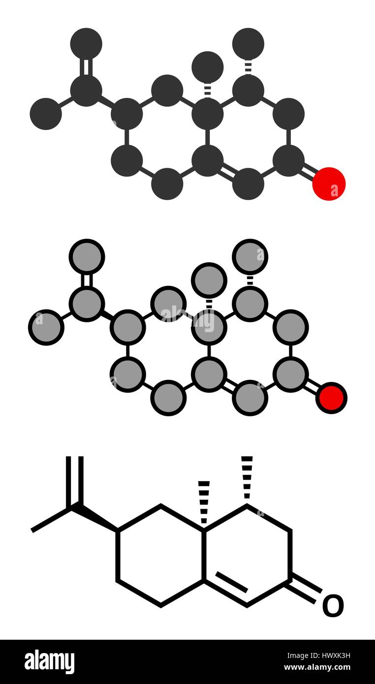 Nootkatone natural insect repellent molecule. Present in grapefruit ...