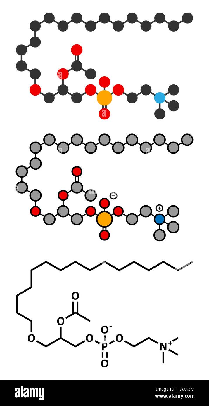 Platelets Icon Vector Vectors High Resolution Stock Photography and ...