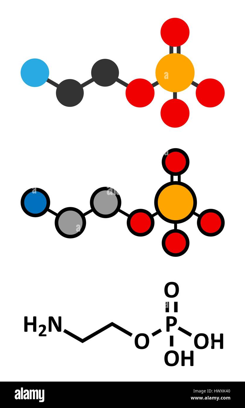 Phosphorylethanolamine (phosphoethanolamine) investigational cancer ...