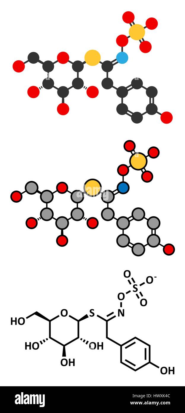 Sinalbin glucosinolate molecule. Present in seeds of white mustard ...