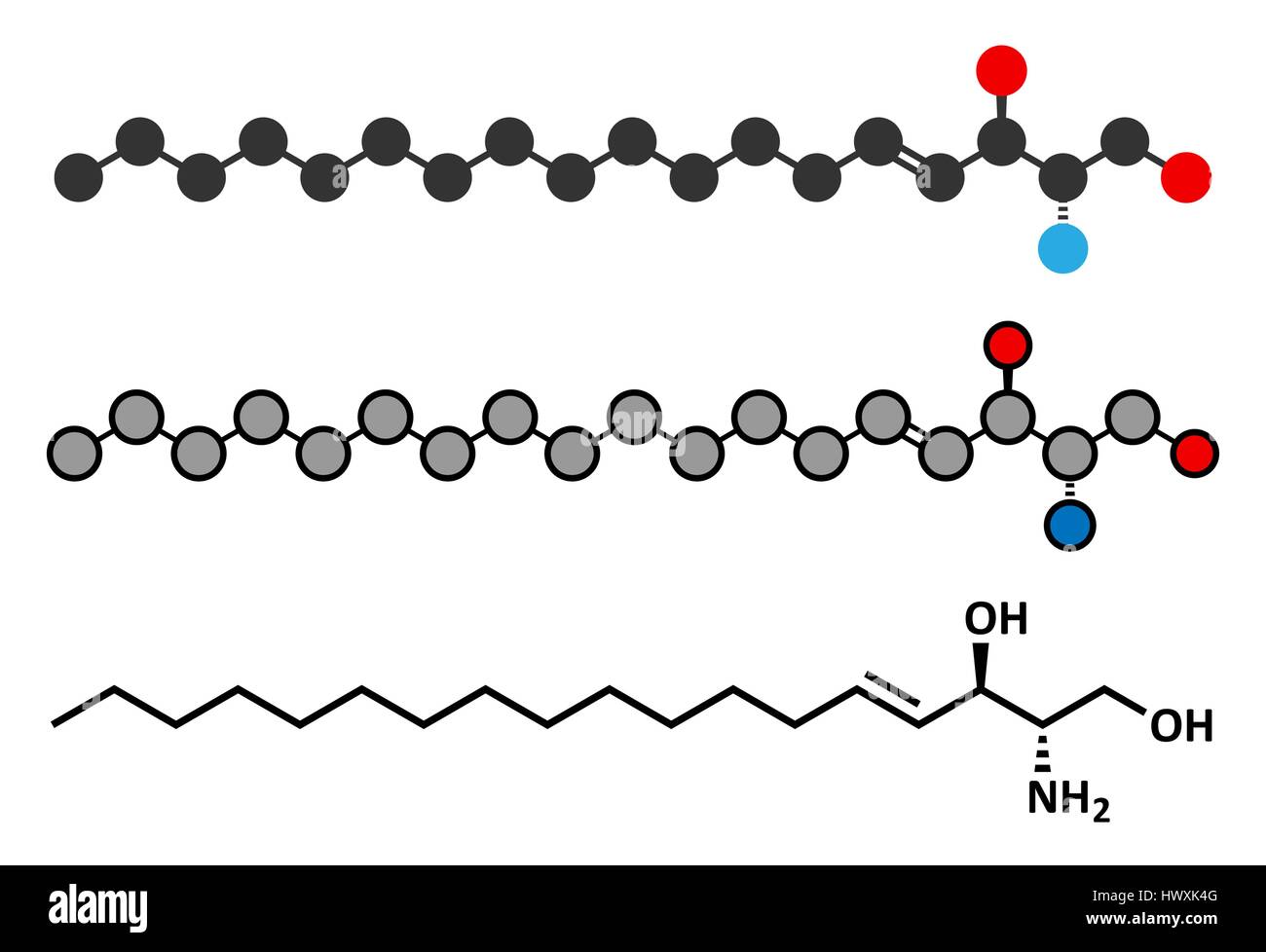 Lipid Molecule Model