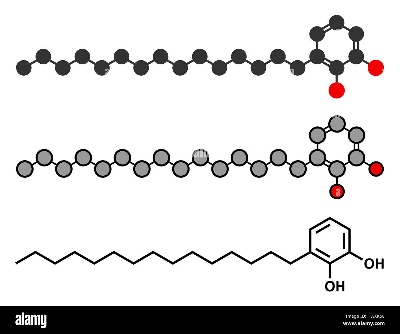 Urushiol allergen molecule Stock Vector Images - Alamy