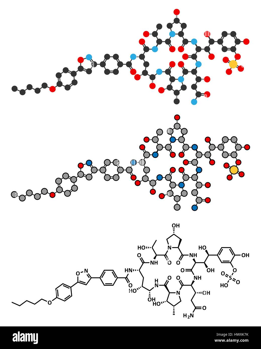 Micafungin antifungal drug molecule. Stylized 2D renderings and ...