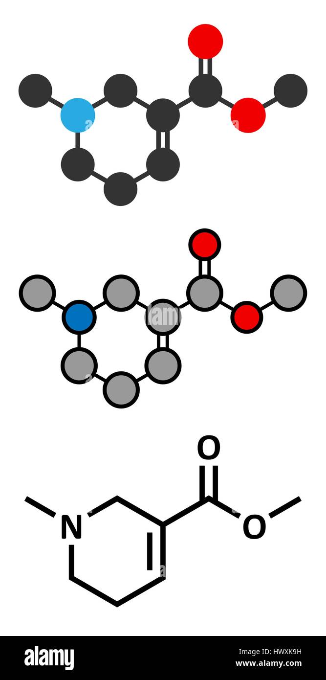 Arecoline areca nut stimulant molecule. Stylized 2D renderings and ...