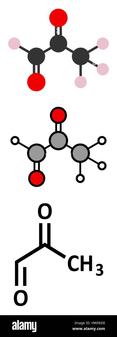 Methylglyoxal (pyruvaldehyde) molecule. Produced by glycolysis; is ...