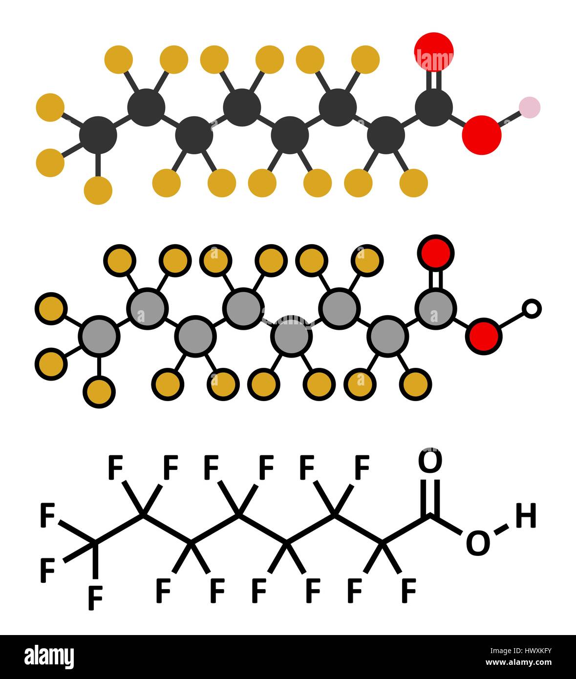 Important model Stock Vector Images - Alamy