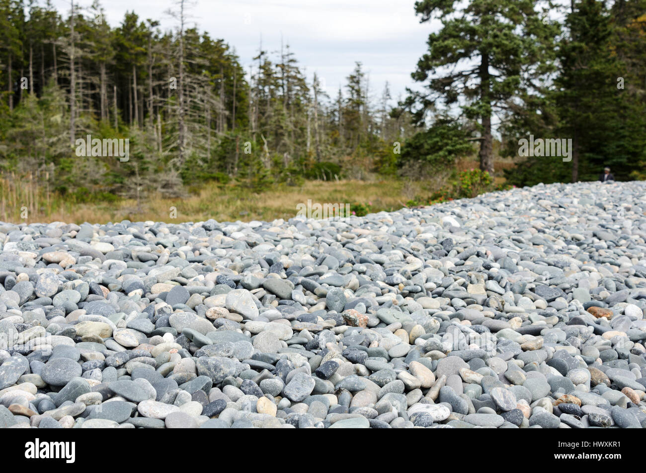 Inland marsh hi-res stock photography and images - Alamy
