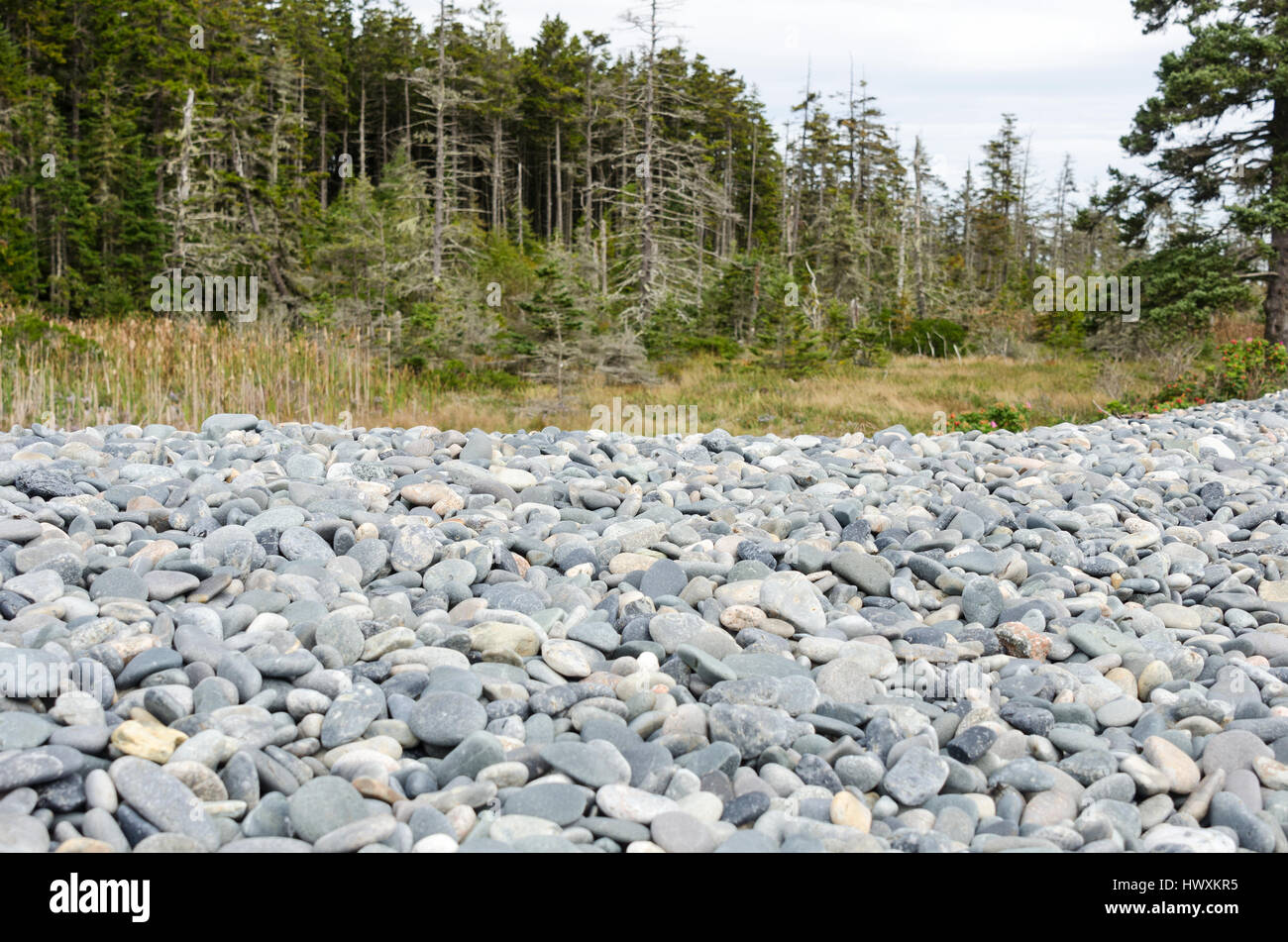 Inland Marsh High Resolution Stock Photography and Images - Alamy