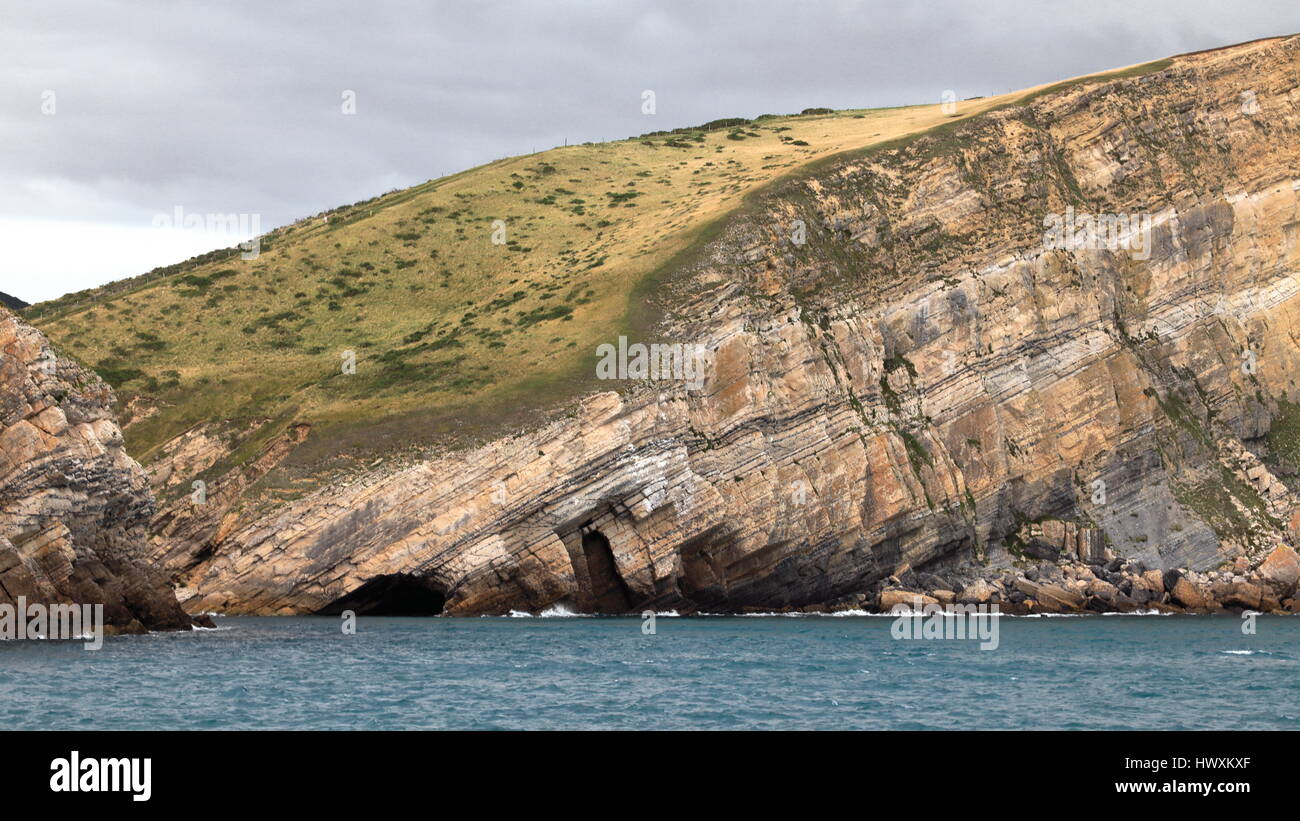 Westerly end of imposing limestone Gad Cliff with Gold Down backdrop ...