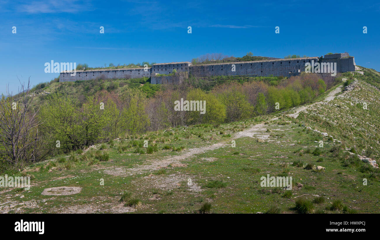 Forte ratti hi-res stock photography and images - Alamy
