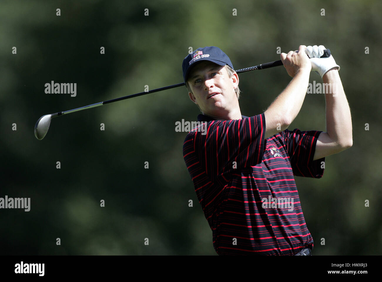 19 toms hi-res stock photography and images - Alamy