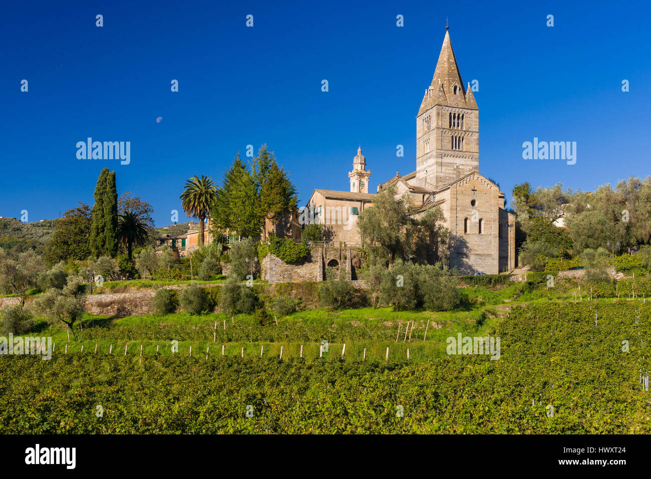 the ancient Basilica dedicated to the Fieschi Family situated in ...