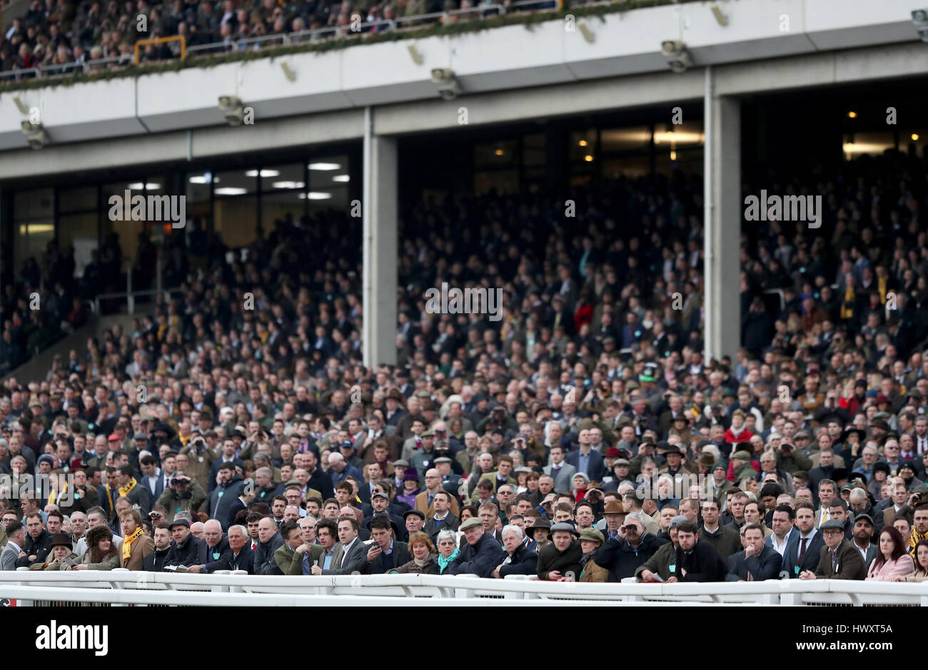 The crowd in the stands Stock Photo - Alamy