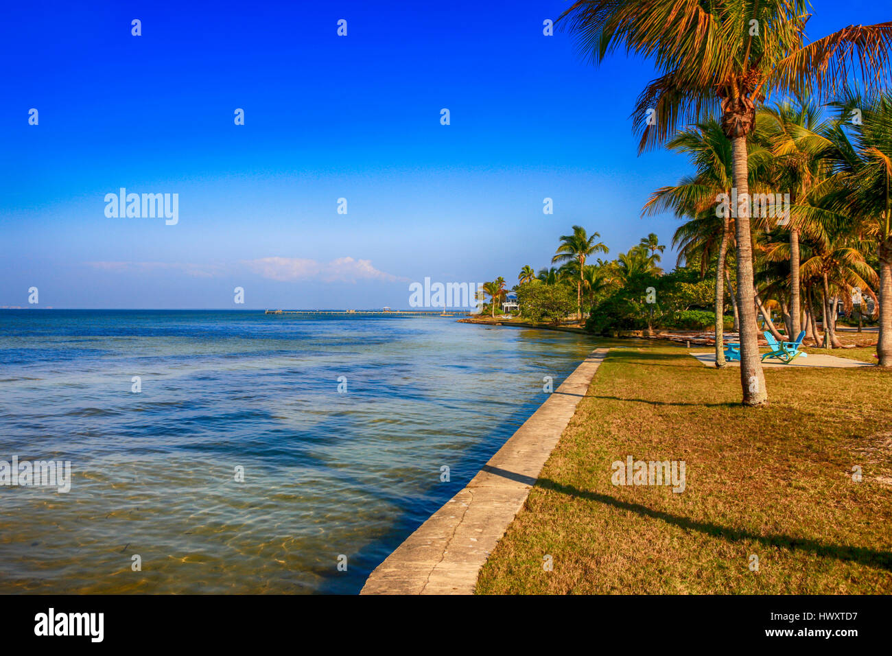 Bokeelia florida hi-res stock photography and images - Alamy